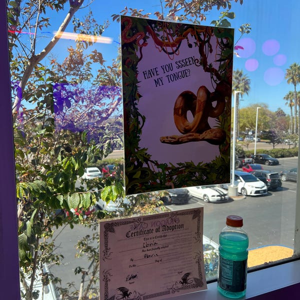 Pin the Tail on the Rabbit, Party Game, Printable Game, Bunny Party ...