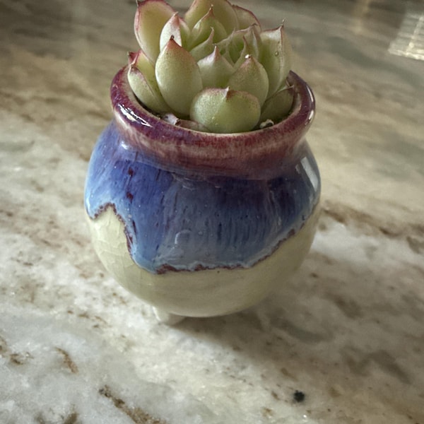 Cute Mini Succulent Planters Handmade Pottery Gift for Mom, Unique ...