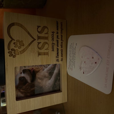 Custom Duck Goose Memorial Stone, Pet Tombstone for Duck Goose, Duck ...