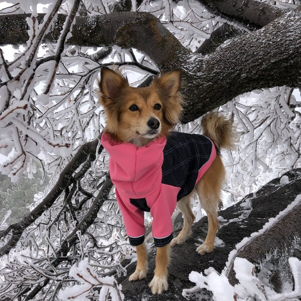 Beaded Fish Earrings, Sockeye Salmon Earrings, Rainbow Trout Earrings ...