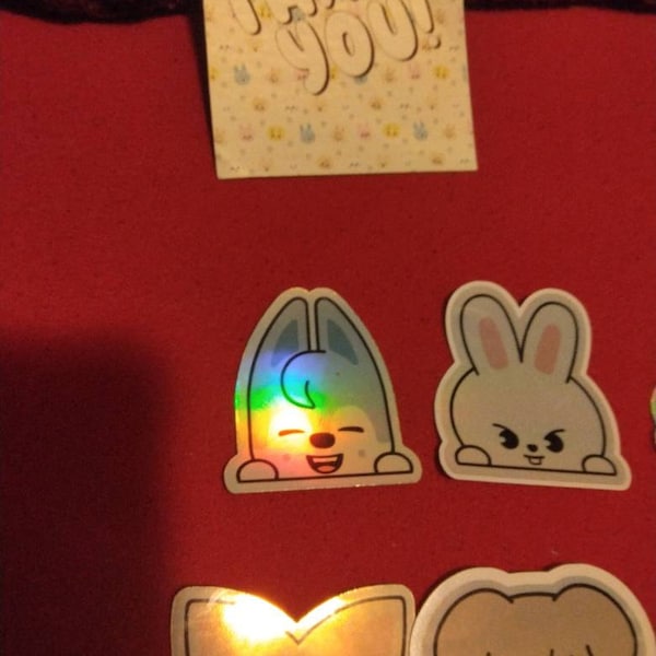 Stray Kids SKZOO Stickers • 2-inch Kpop Stickers • Water Resistant ...