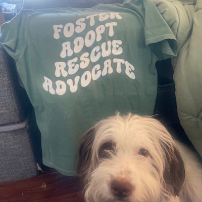 Foster Adopt Rescue Advocate Shirt, Rescue Dog T-shirt, Adopt a Dog ...