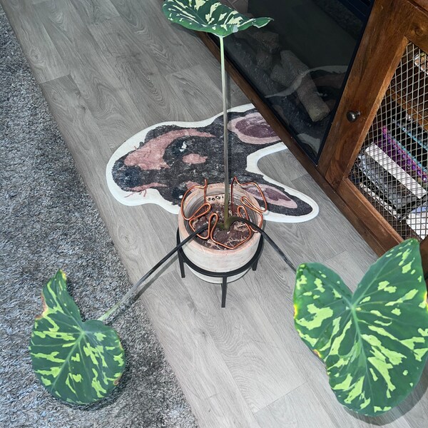 Monstera Shaped Plant Support Gold Coloured - Etsy