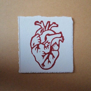 Plant and Animal Cell Original Linocut // Biology Linoprint - Etsy