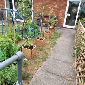 Charles Taylor 3 Piece Wooden Veg Trough Planter Set. - Etsy UK