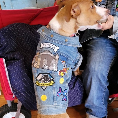 Custom Pet Name Dog Bone Rocker Felt Patch - Etsy