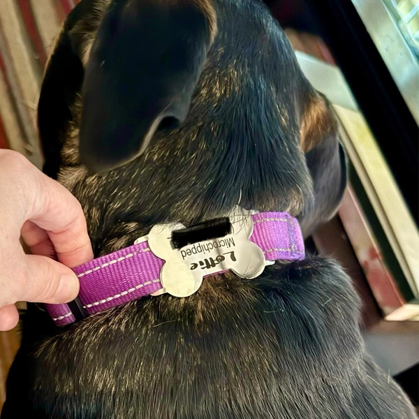 Qr Code Smart Slide on Bone Pet Tag, Scannable Martingale Silent Dog ...