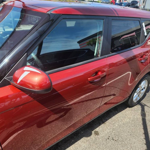 Predator T Logo Symbol Vinyl Decal Window Sticker - 25 Colors - Etsy