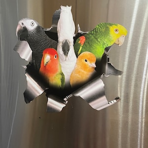 Dove Car Decal Vinyl Decal Dove Sticker Bird Decal - Etsy