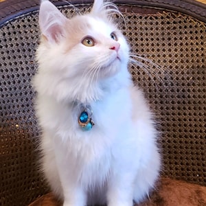 Dusty Blue Flower Dog Collar,wedding Dog Collar,dog Birthday Gift ...