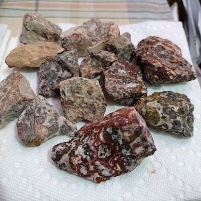 Polychrome Desert Jasper Large Rough Jasper Rock for Tumbling Size: 2 3 ...