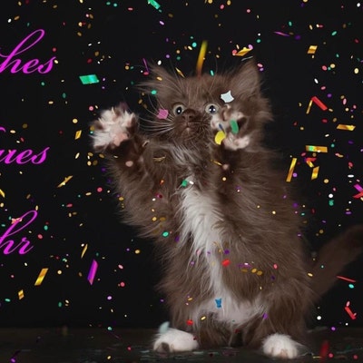 Pink Confetti PNG Photoshop Overlays - Etsy