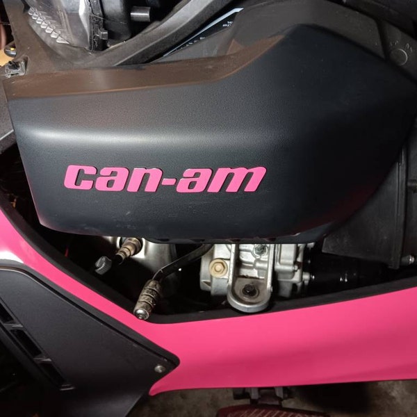 Hood Panel Decals Name Decals Ryker Motorcycle Custom Vinyl Decal ...