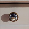 Bee Knobs Cabinet Knobs Dresser Knobs Funiture Knobs Pull / Dresser Pull / Cabinet Knobs ...