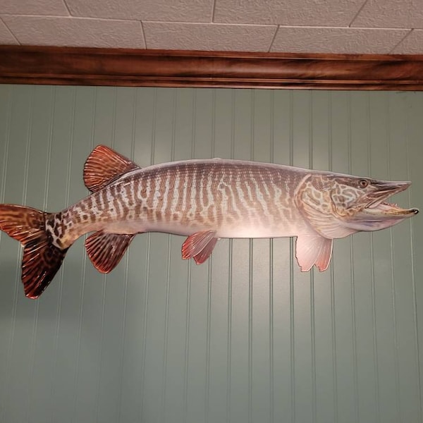 42 Inch Metal Tiger Musky – Realistic Fish Wall Mount, Cabin Decor - Etsy