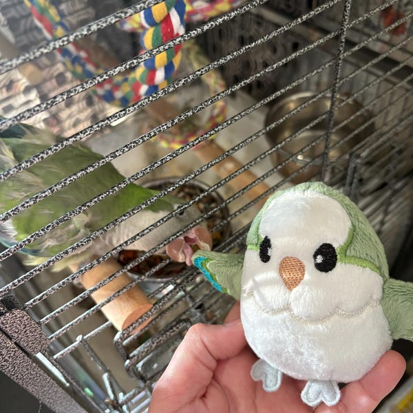 Mango the Quaker Parrot Borb Plush, Monk Parakeet, Handmade Toy, Bird ...