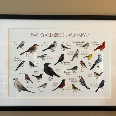 Alabama Backyard Birds Field Guide Art Print / Watercolor Painting ...