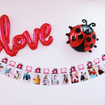 Love Bug Valentine First Birthday Decorations ONE High Chair - Etsy