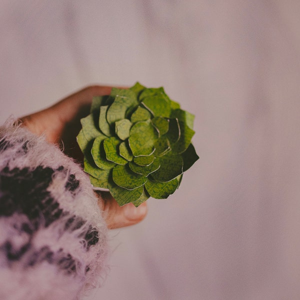 Unique Handcrafted Felt Snake Plant | Decorative Textile Plant ...