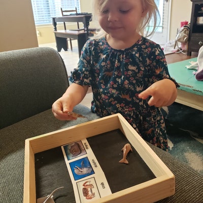 Montessori Safari Animal Match Miniature Animals With Matching Cards 2 ...