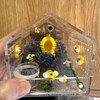 JC Decorated Hexagon Enclosures - Etsy