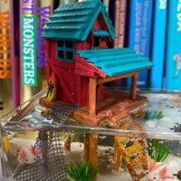 Miniature Super Mario Axolotl Tank - Etsy UK