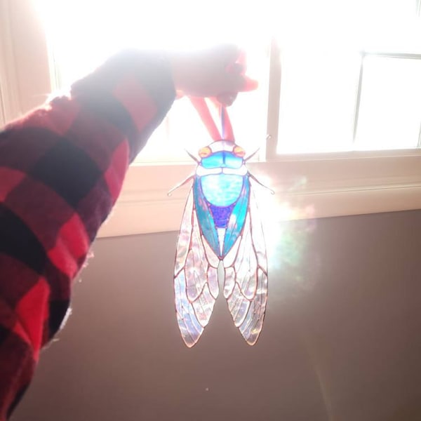 Cicada Stained Glass Window Hangings / Insect Custom Stained Glass ...