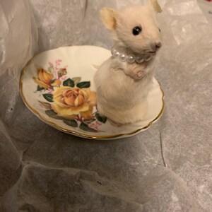 Taxidermy mice. | Etsy