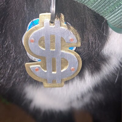 Dollar Sign Pet Tag - Etsy