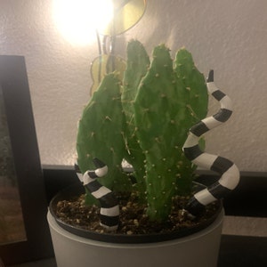 Beetlejuice Sandworm Tails SET 0F 3 Stakes Plant Decoration Fantasy ...