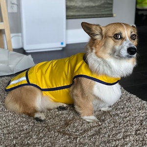 Corgi Rain Jacket | Etsy