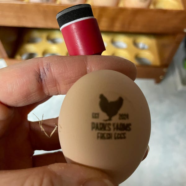 Personalised 4cm Rubber Stamp ,book Stamp,custom Branding Stamp Set ...