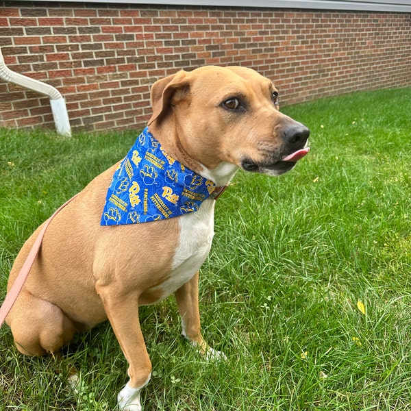 Spiderman Dog and Cat Bandana With Optional Personalization, Matching ...