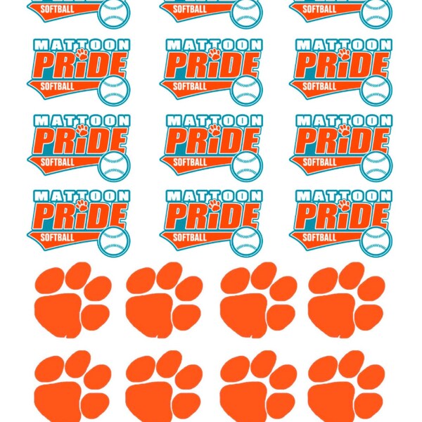 Custom School Spirit Tattoos, Temporary Tats, Your Mascot, Your Team - Etsy