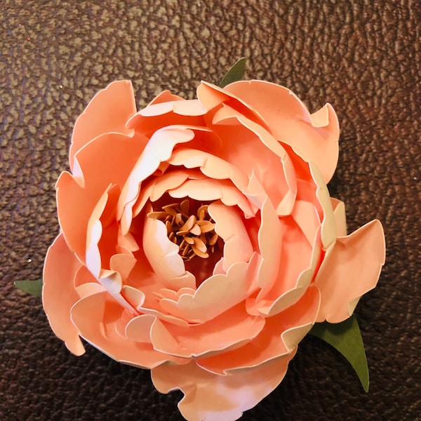 Deluxe Paper Flower Tool Kit With 3 Paper Flower Kits - Peony, Rose ...