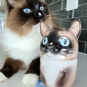 Orange Fox Jar Fox Pottery Container Handmade Sugar Bowl - Etsy