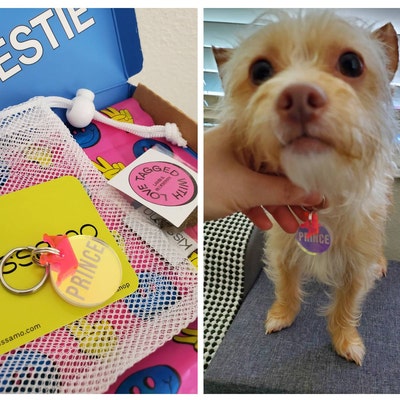 Custom Pet Tag for Dogs and Cats Personalized Weiner Hot Dog Tag Pet ID ...