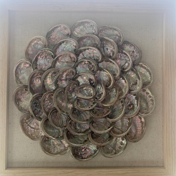Red Abalone Art, Shell Wall Art, 3D Shell Art, Coastal Shell Art ...