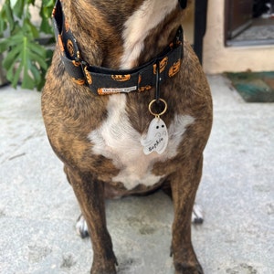 Ghost Pet ID Tag for Dogs and Cats Ghost Name Tag Halloween - Etsy