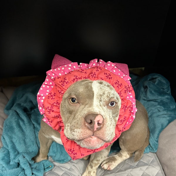 Adjustable Dog Snood: THANKSGIVING TURKEY TROT Snood to Protect Long ...