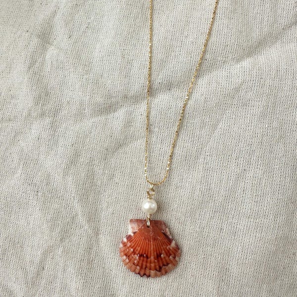 25 Calico Clam Shells / Seashells - Etsy