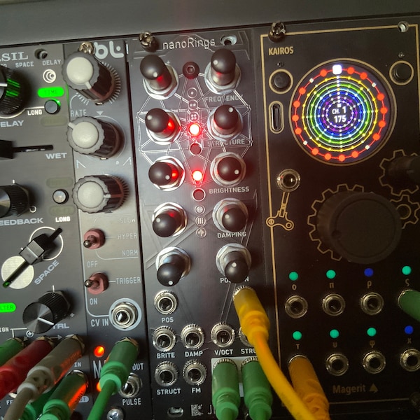 Nano Rings (mutable Instruments Rings Variant) / Eurorack Modules ...