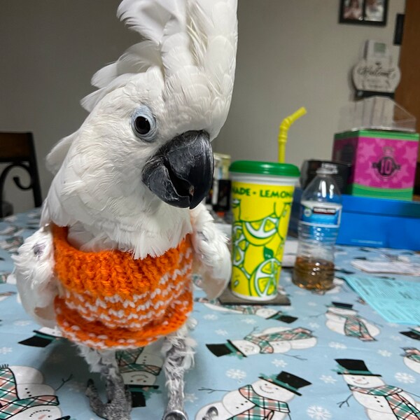 Bird Tuxedo | Bird Diaper | Bird Flightsuit | Bird Costume | Tux With ...