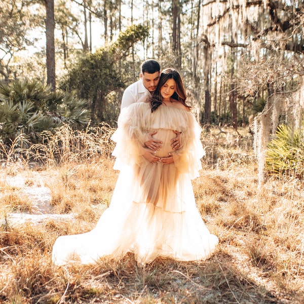 READY TO SHIP Off-the-shoulder Sheer Tulle Maternity Dress, Sheer ...