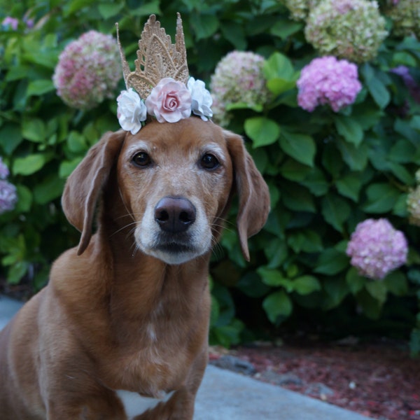 Princess Pet Birthday Crown Gold Lace Crown for Dogs and Cats Adeline ...