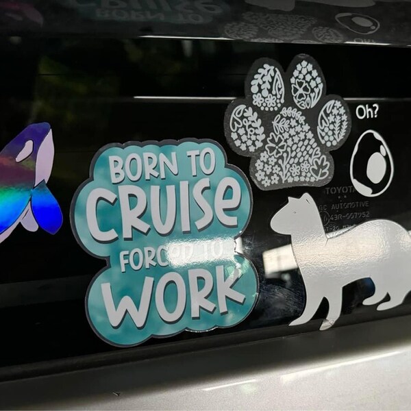 NEW Custom School Stickers College Stickers Water Resistant Stickers ...