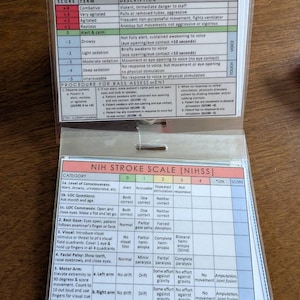 Code Blue Recording Flowsheet | Printable PDF Download - Etsy
