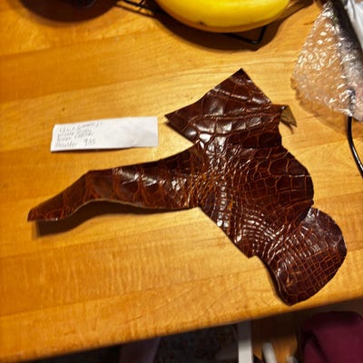 Turtle Shell Common Snapping Turtle Shell From Mn USA 10 1/4 X 10 Lot2 ...