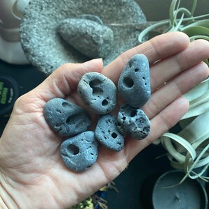 5-8 Irish Hag Stones small Multipack, Holey Stones, Adder Stones, Hag ...