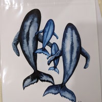 Newfoundland "shore Mussels" Watercolour Painting Fine Art Print - New ...